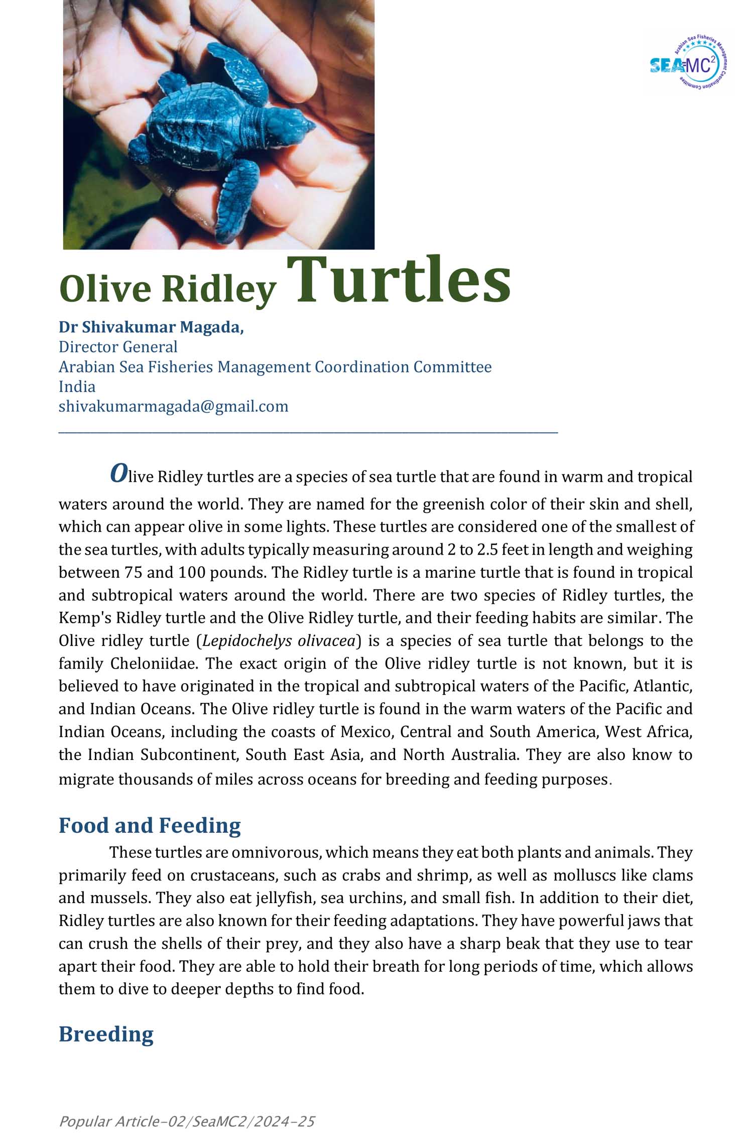 Olive Ridley Turtles - SEA=MC2